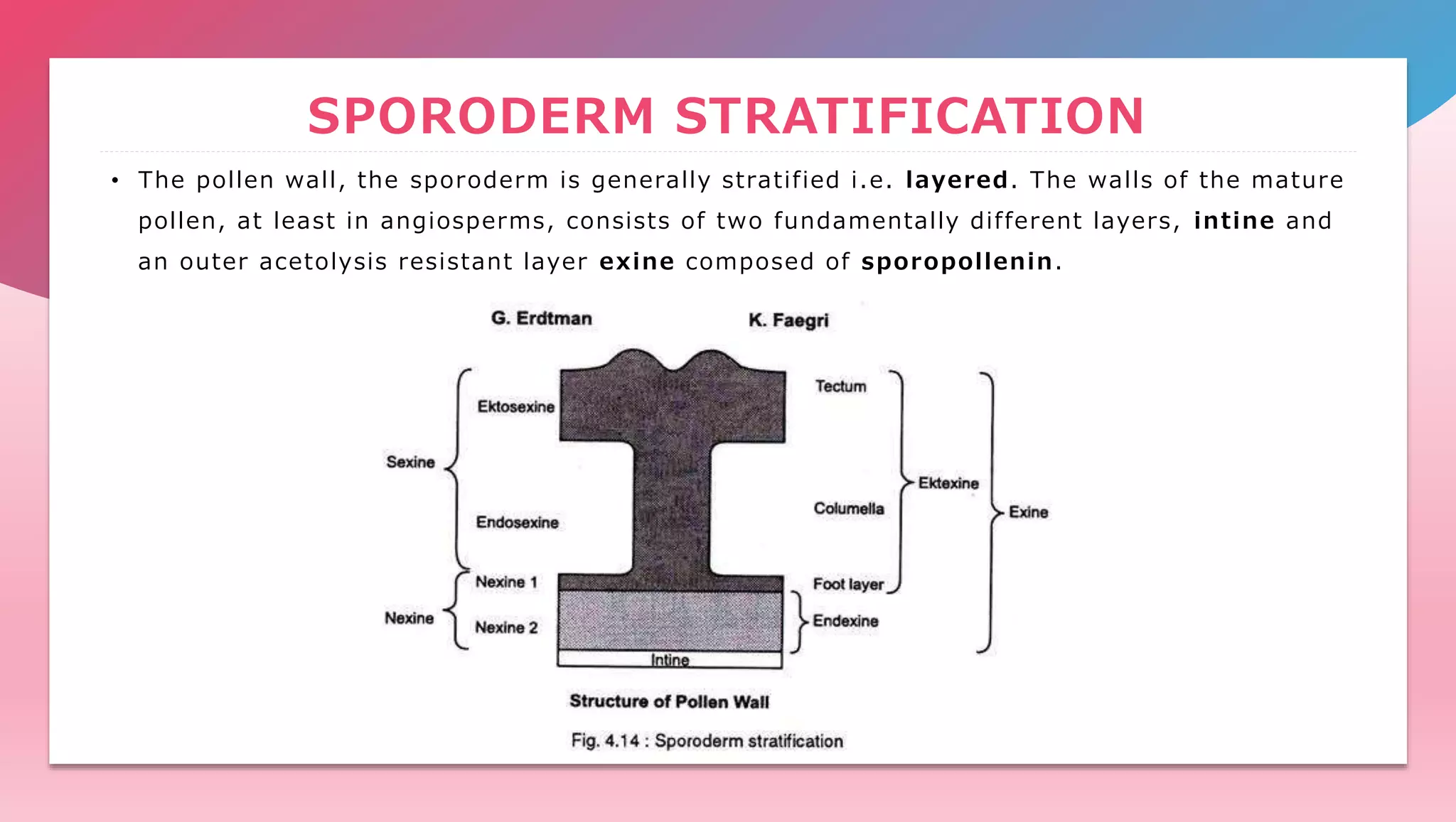 Forensic Palynology: Pollen Grains | PPTX