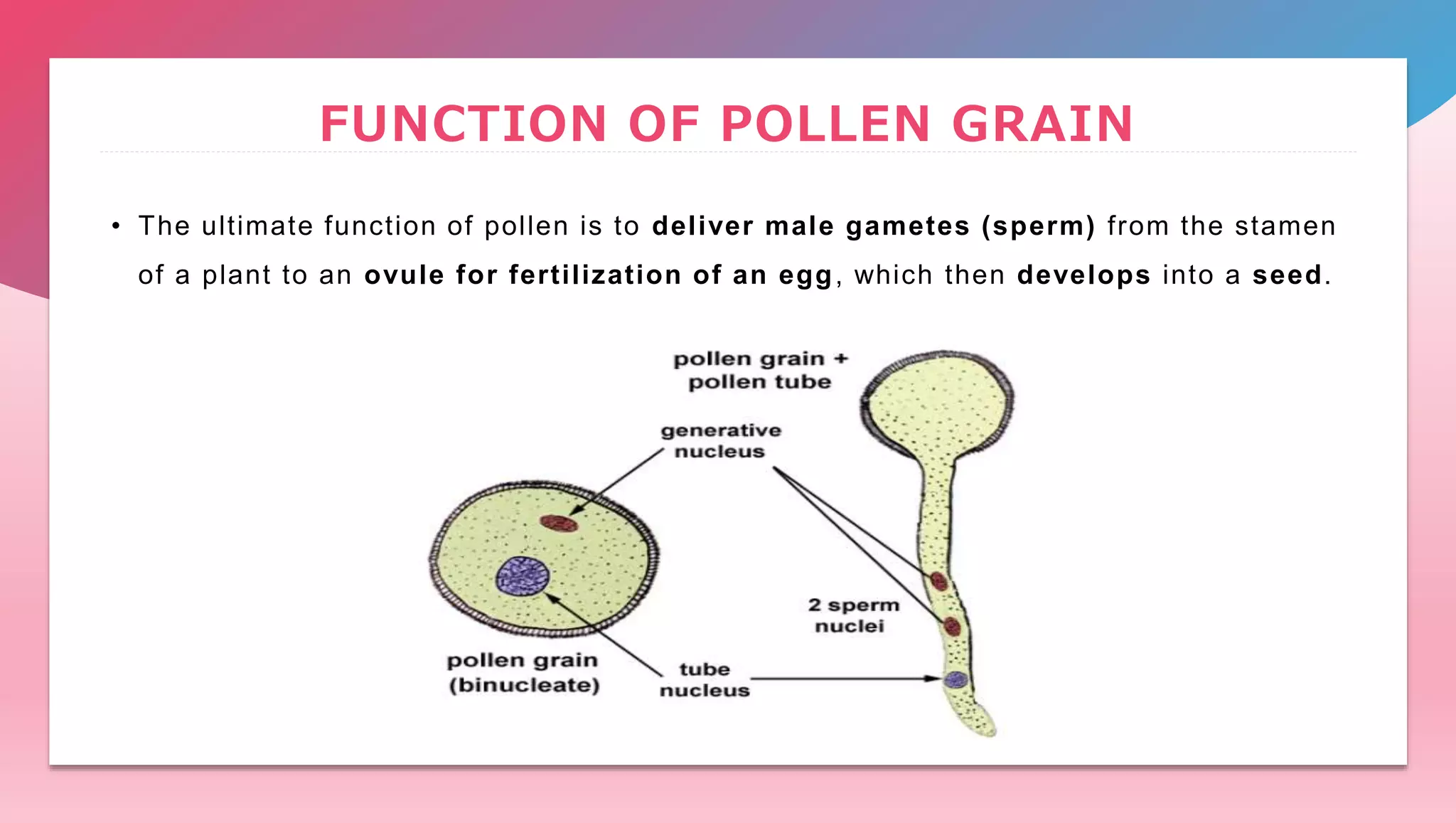Forensic Palynology: Pollen Grains | PPTX
