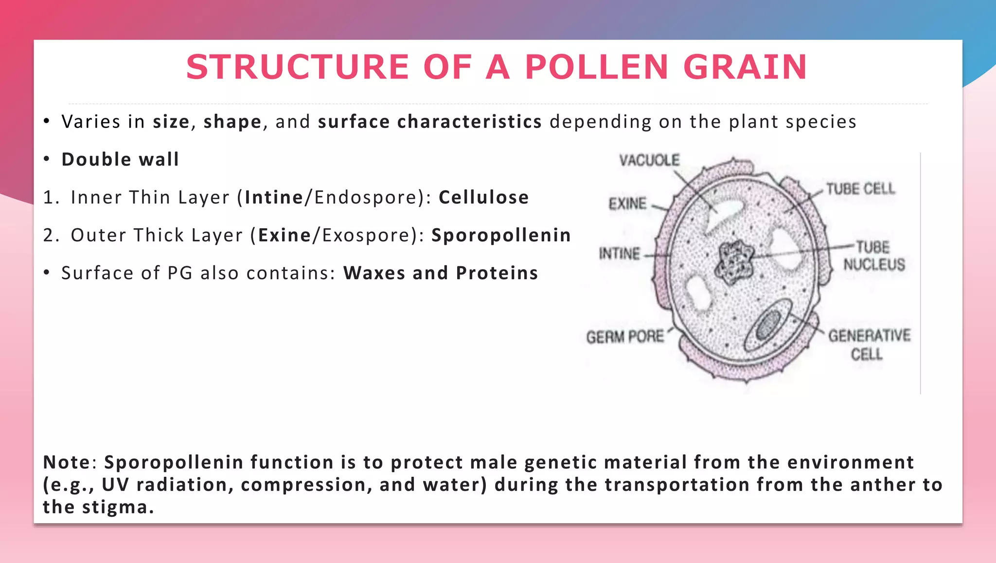Forensic Palynology: Pollen Grains | PPTX | Beekeeping | Hobbies ...