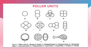 Forensic Palynology: Pollen Grains | PPTX