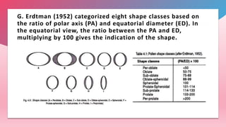 Forensic Palynology: Pollen Grains | PPTX