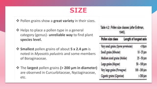 Forensic Palynology: Pollen Grains | PPTX