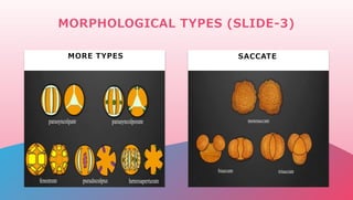 Forensic Palynology: Pollen Grains | PPTX