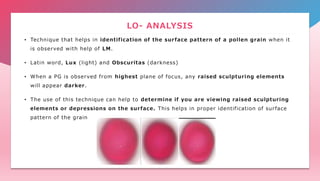 Forensic Palynology: Pollen Grains | PPTX