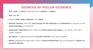 Forensic Palynology: Pollen Grains | PPTX