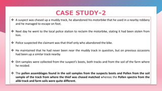 Forensic Palynology: Pollen Grains | PPTX | Beekeeping | Hobbies ...
