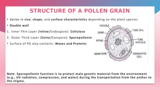 Forensic Palynology: Pollen Grains | PPTX