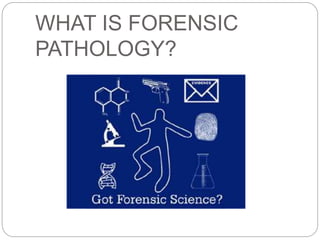 Forensic Pathology | PPTX