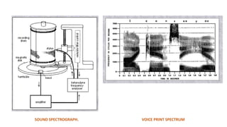 Forensic phonetics[1] | PPTX