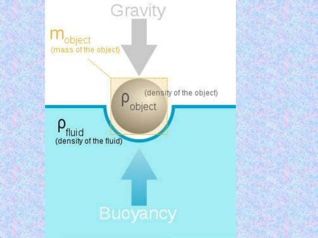 FORENSIC PHYSICS | PPT | Physics | Science