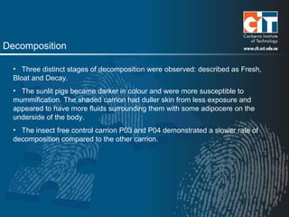 Forensic Powerpoint | PPT | Weather | Science