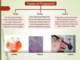 Role of Chemistry in Forensic Analysis | PPTX | Chemistry | Science