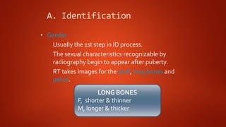 forensicradiography.pptxforensicradiography.pptx