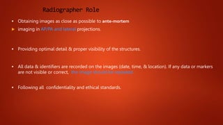 forensicradiography.pptxforensicradiography.pptx