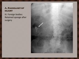 Forensic radiology practical under | PPT