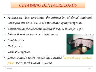FORENSIC ODONTOLOGY | PPTX