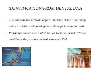 FORENSIC ODONTOLOGY | PPTX