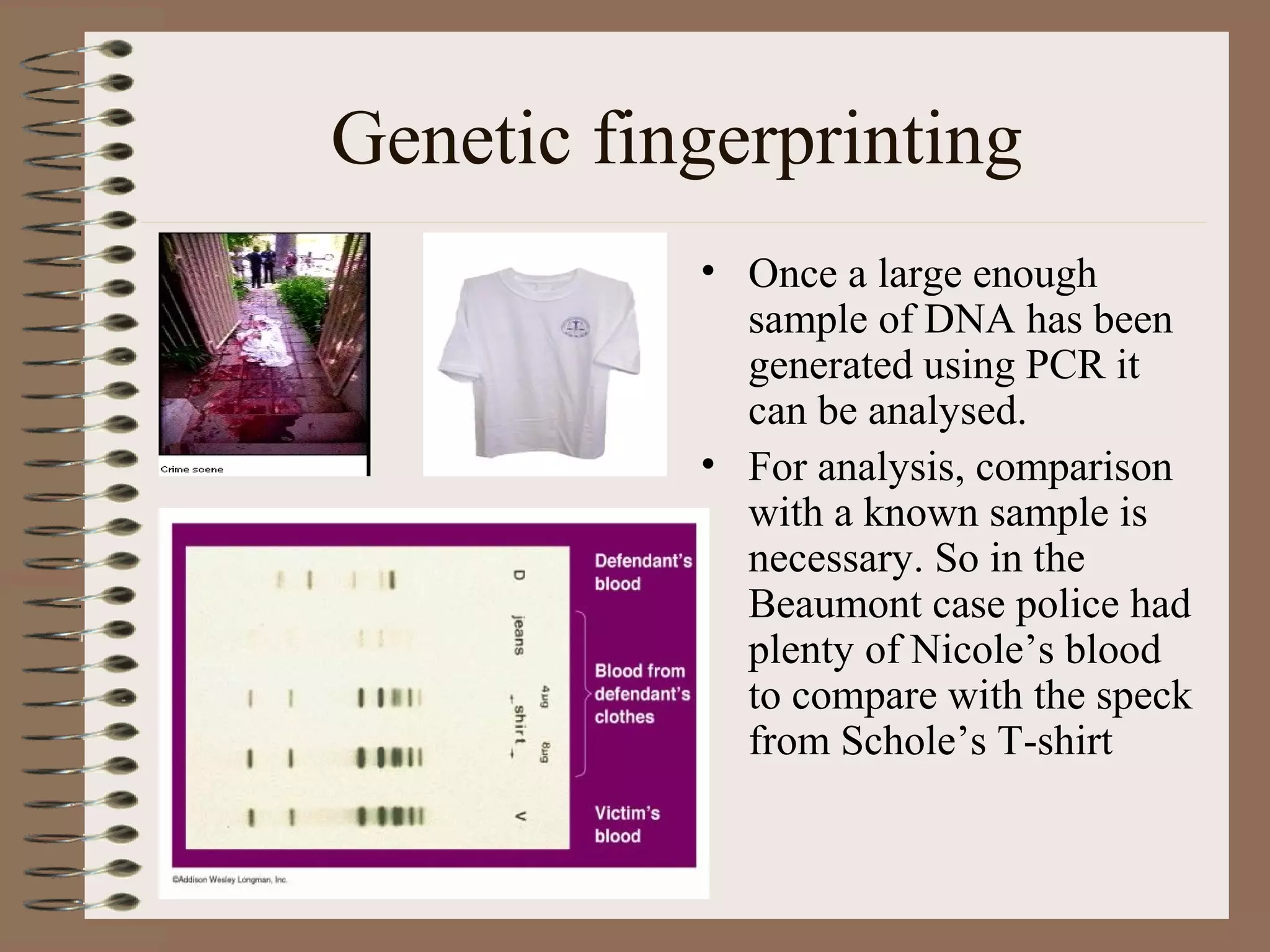 Forensics pcr&electrophoresis. | PPT