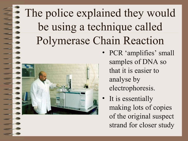 Forensics pcr&electrophoresis. | PPT