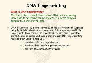 Forensics | PPT