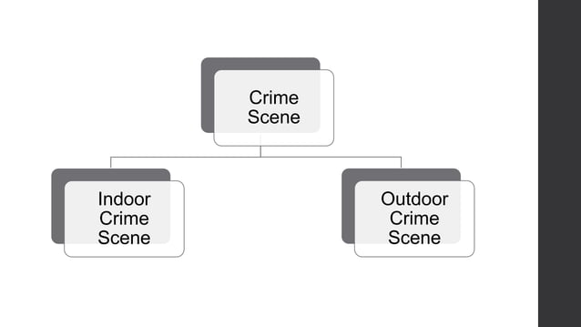 Crime Scene | PPT