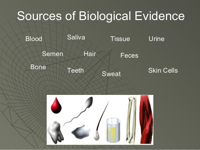 Forensic science dna
