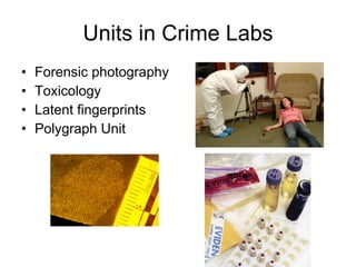 Forensic Science Intro | PPT | Crime & Harmful Acts to Individuals ...
