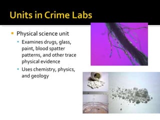 Forensic science intro | PPT