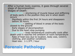 Intro to Forensic Science | PPTX