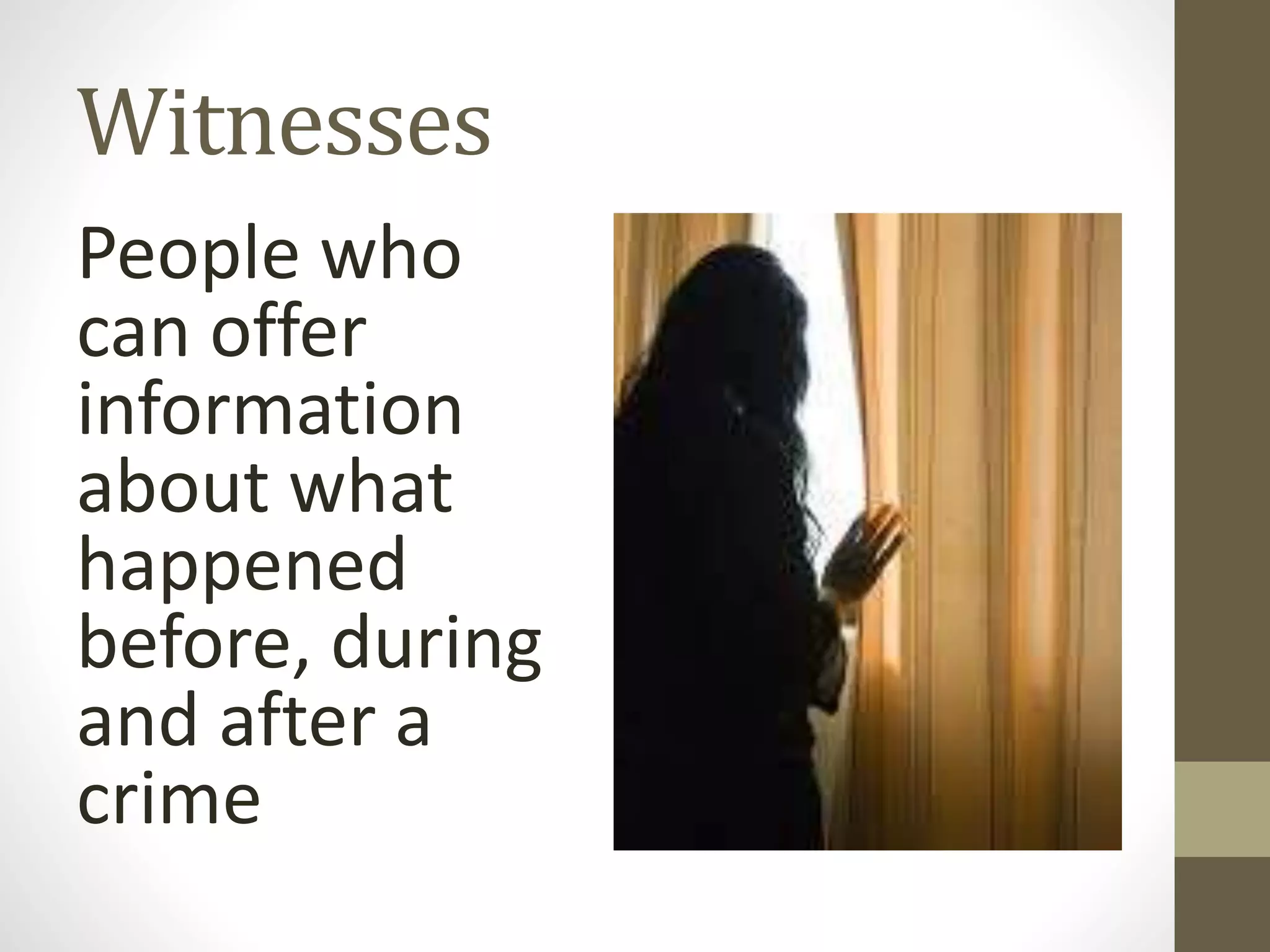 Forensic Science Vocabulary | PPTX