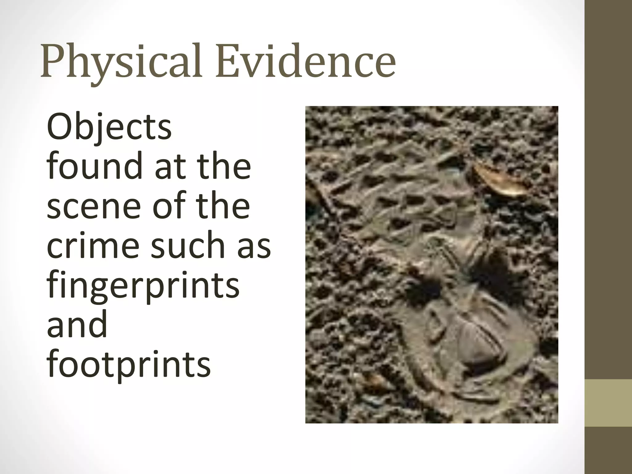 Forensic Science Vocabulary | PPTX