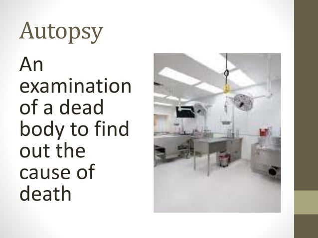 Forensic Science Vocabulary | PPTX