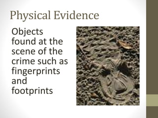 Forensic Science Vocabulary | PPTX