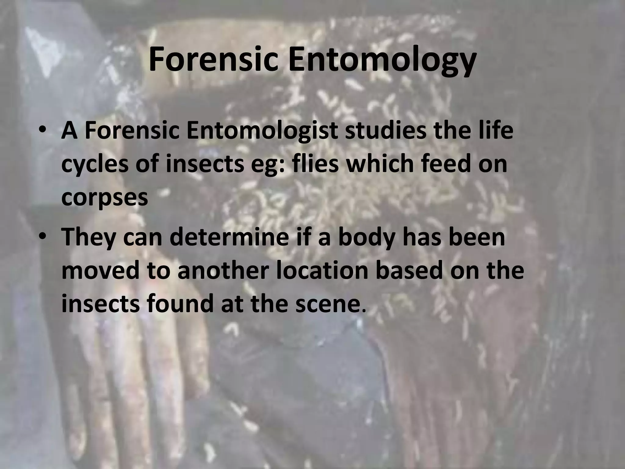 Forensic scientists | PPTX