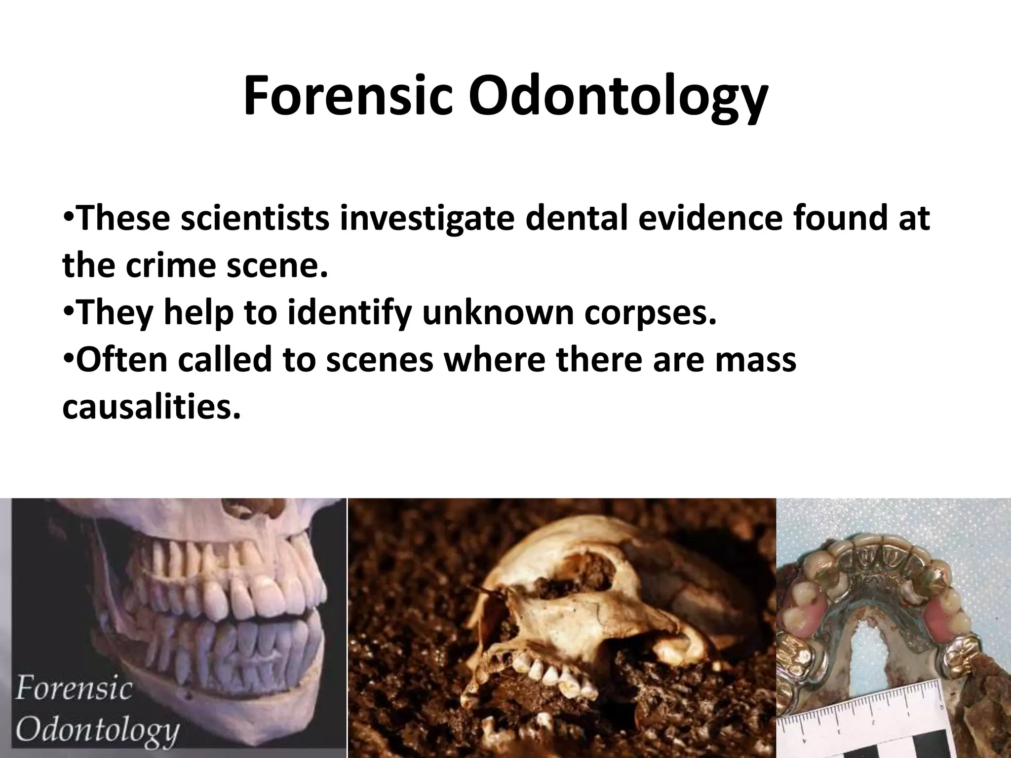 Forensic scientists | PPTX