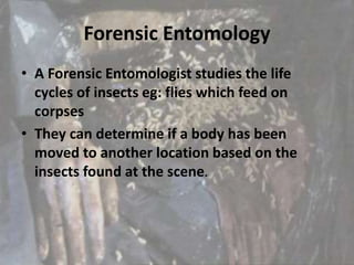 Forensic scientists | PPTX