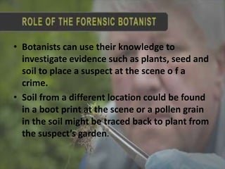 Forensic scientists | PPTX