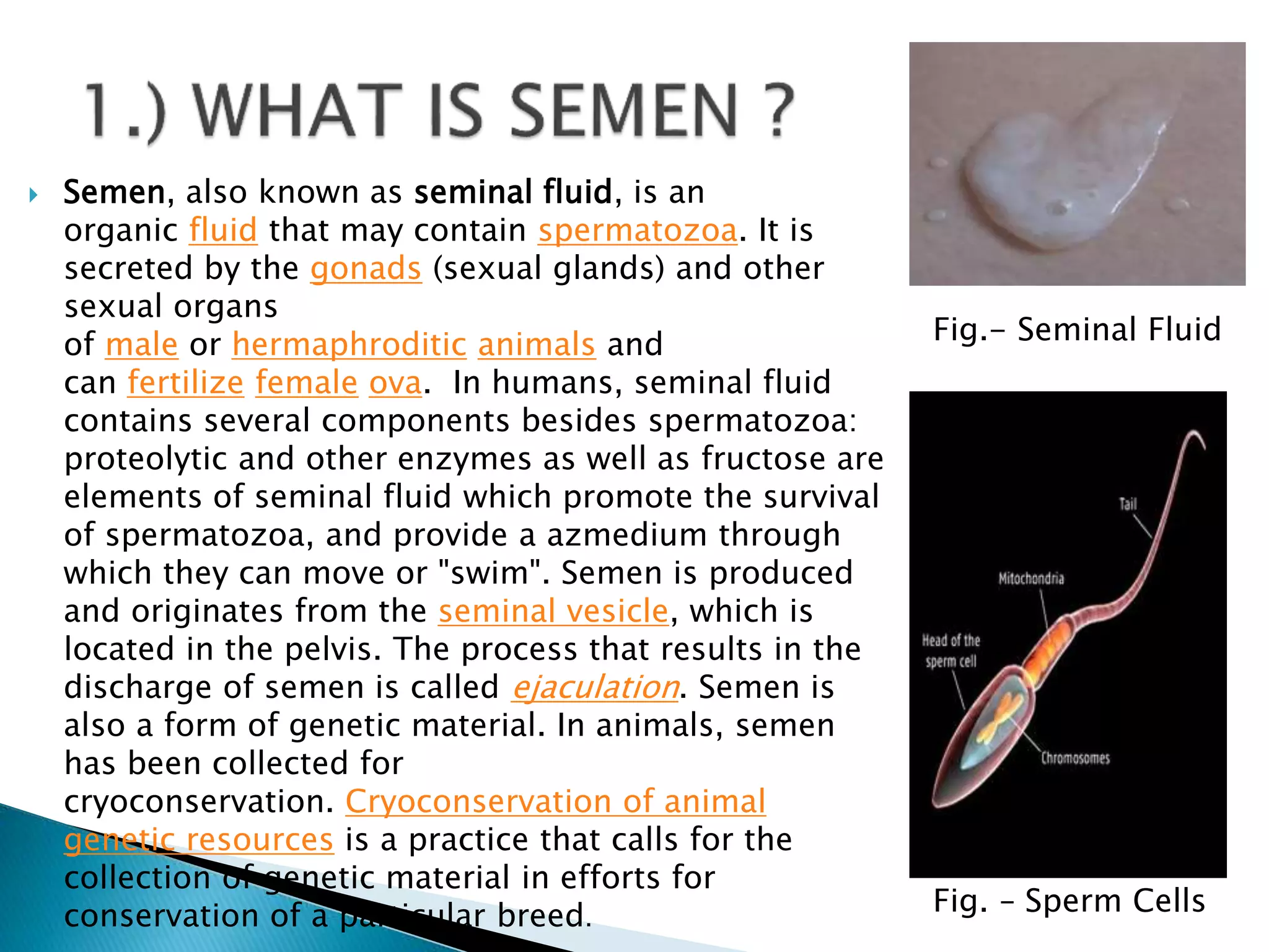 Forensic semen analysis | PPT