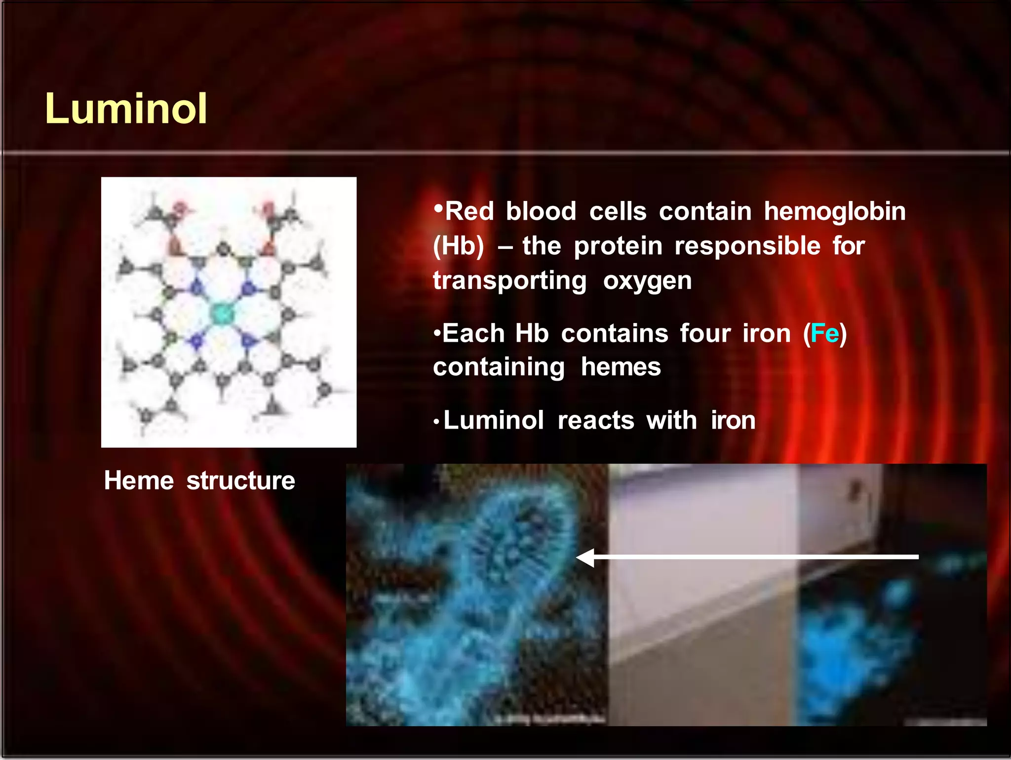 Forensic Serology.pptx
