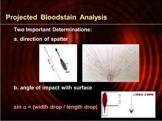 Forensic Serology.pptx