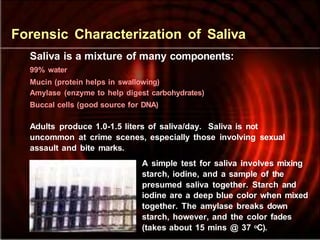 Forensic Serology.pptx