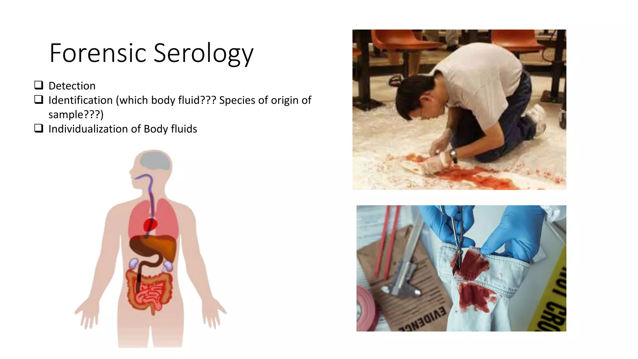 FORENSIC SEROLOGY_Unit1.pptx | Blood Disorders | Diseases and Conditions