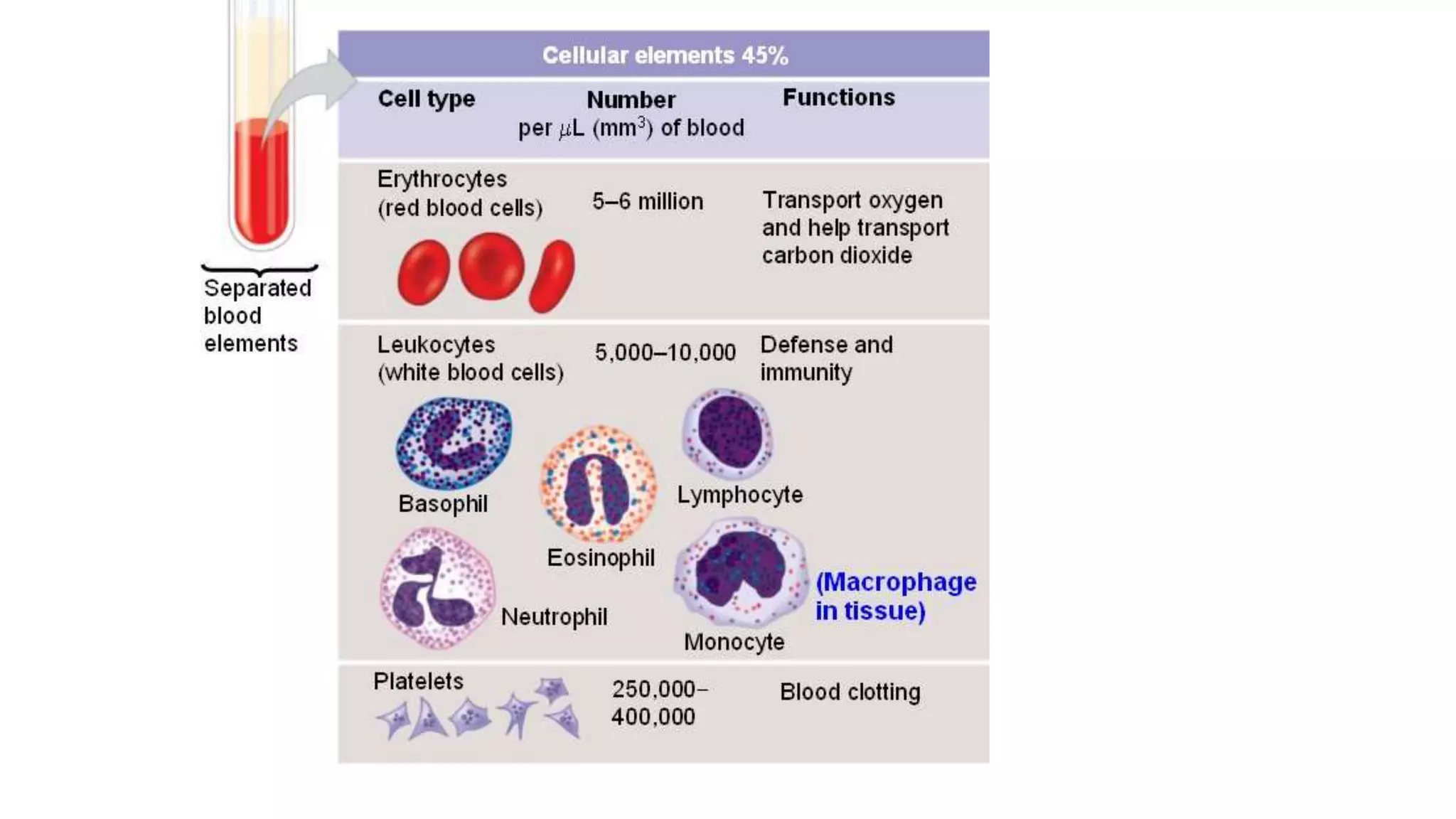 FORENSIC SEROLOGY_Unit1.pptx