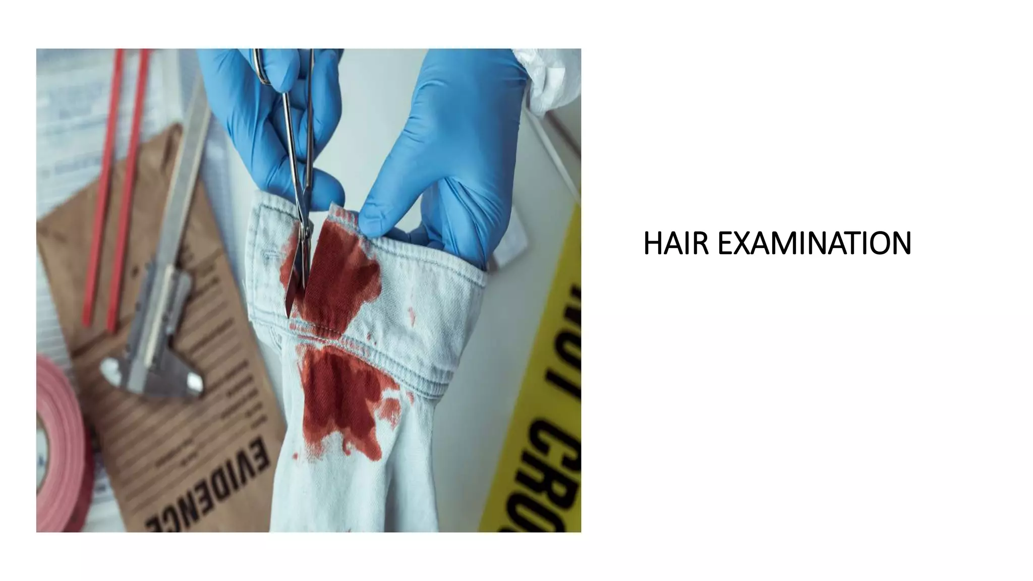 FORENSIC SEROLOGY_Unit2 _Hair examination.pptx