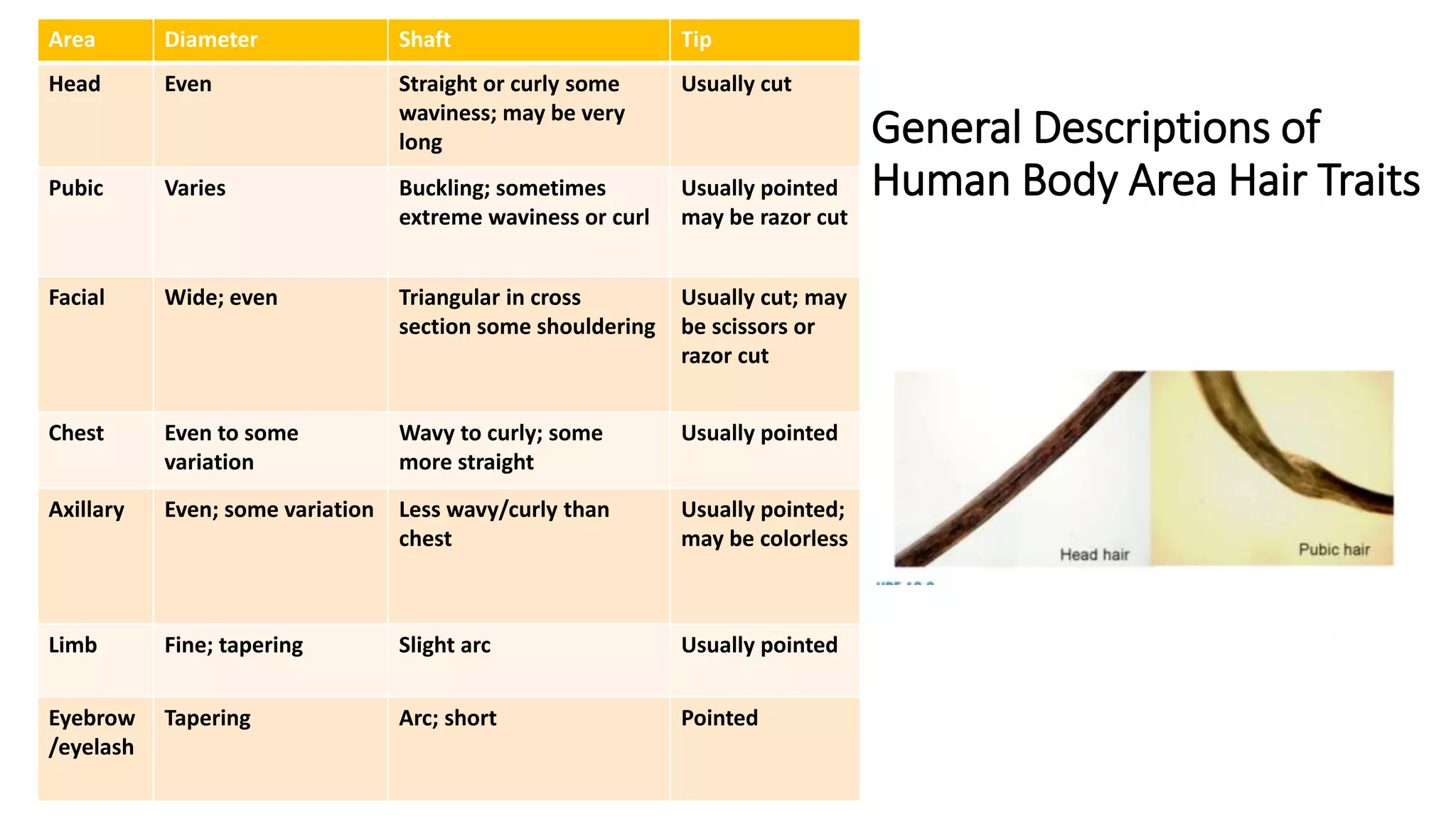 FORENSIC SEROLOGY_Unit2 _Hair examination.pptx