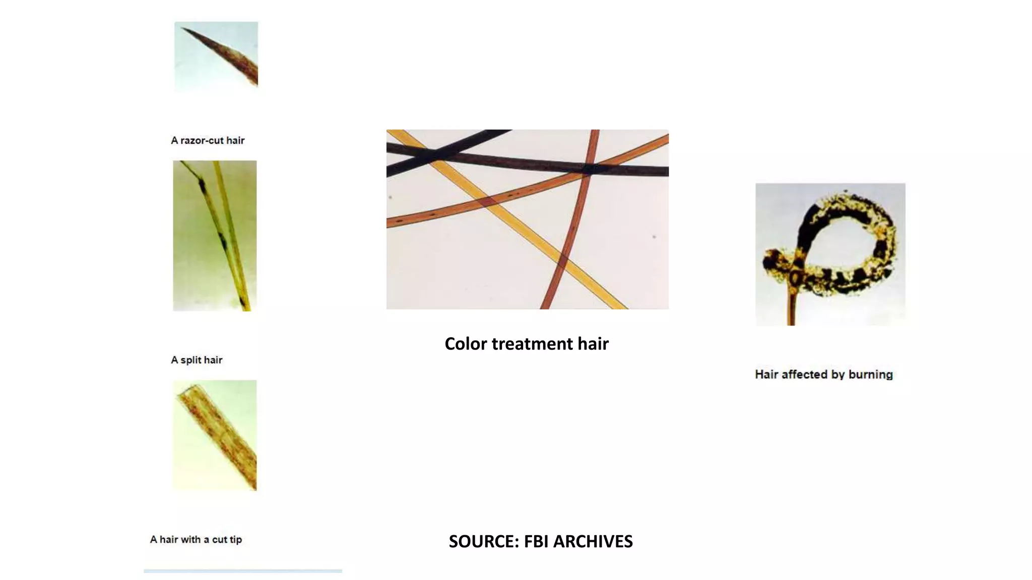 FORENSIC SEROLOGY_Unit2 _Hair examination.pptx