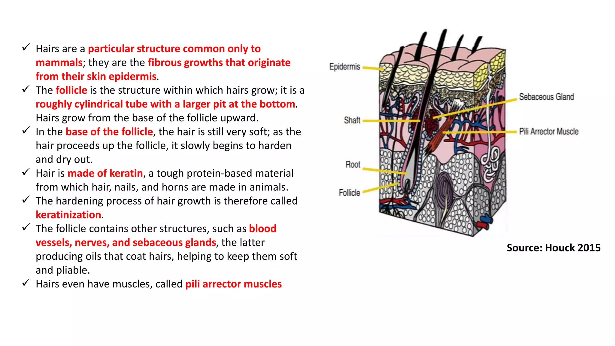 FORENSIC SEROLOGY_Unit2 _Hair examination.pptx