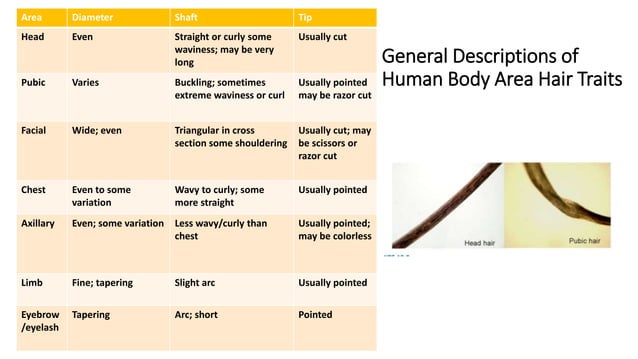 FORENSIC SEROLOGY_Unit2 _Hair examination.pptx