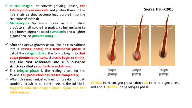 FORENSIC SEROLOGY_Unit2 _Hair examination.pptx