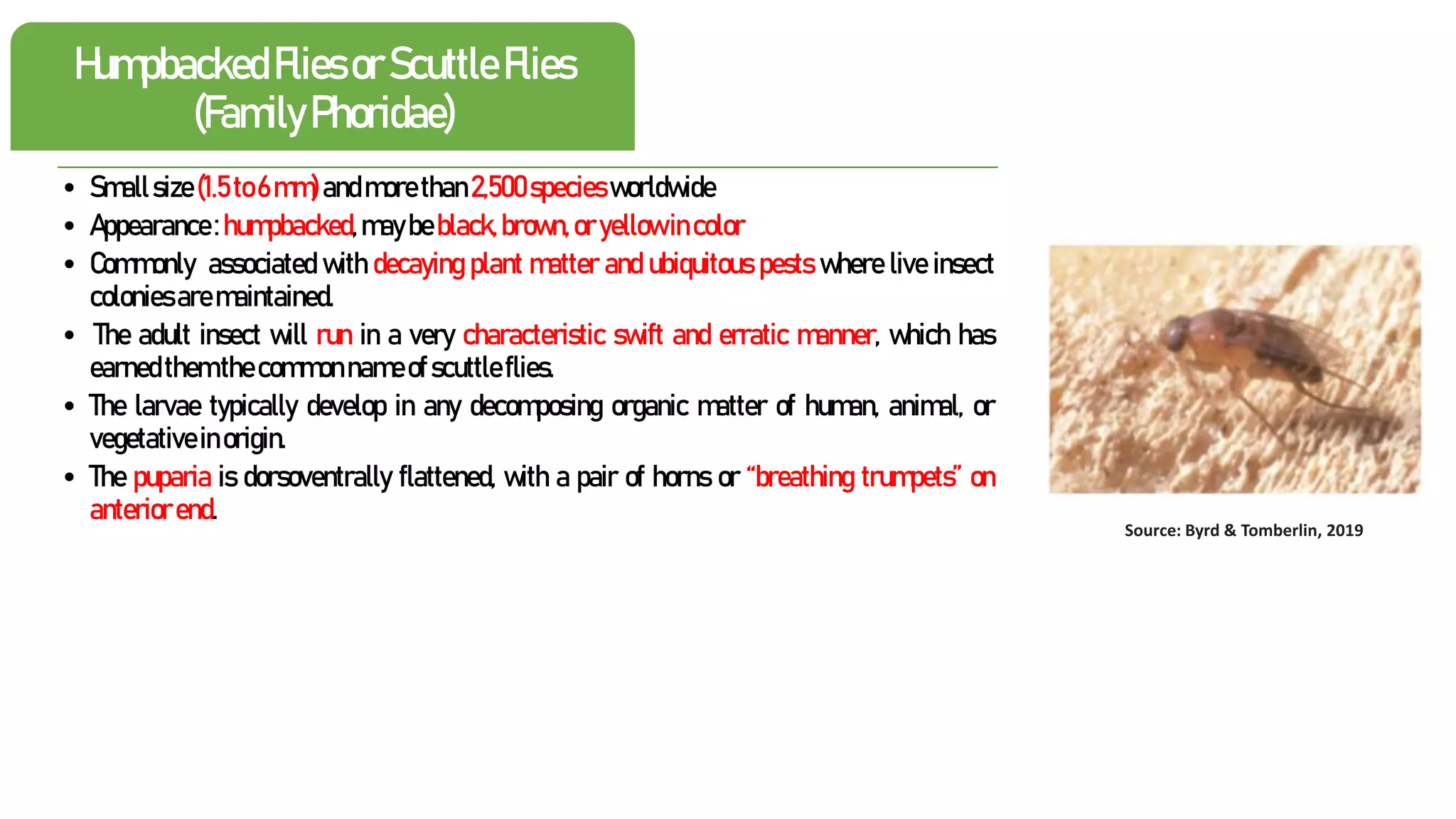 Forensic Serology_UNIT 3_Forensic entomology.pptx